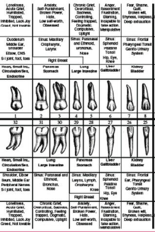 Understanding the Tooth/Body Connection - dryolie